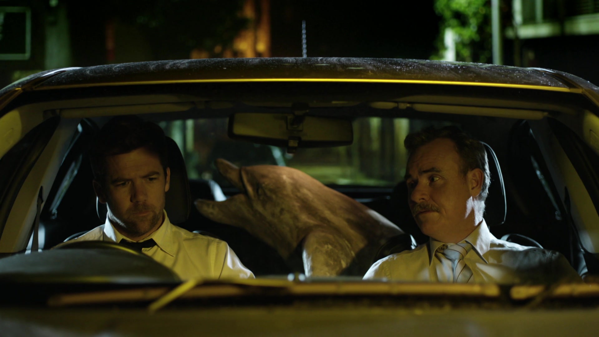 Watch No Activity | Every Episode Now Streaming | Stan