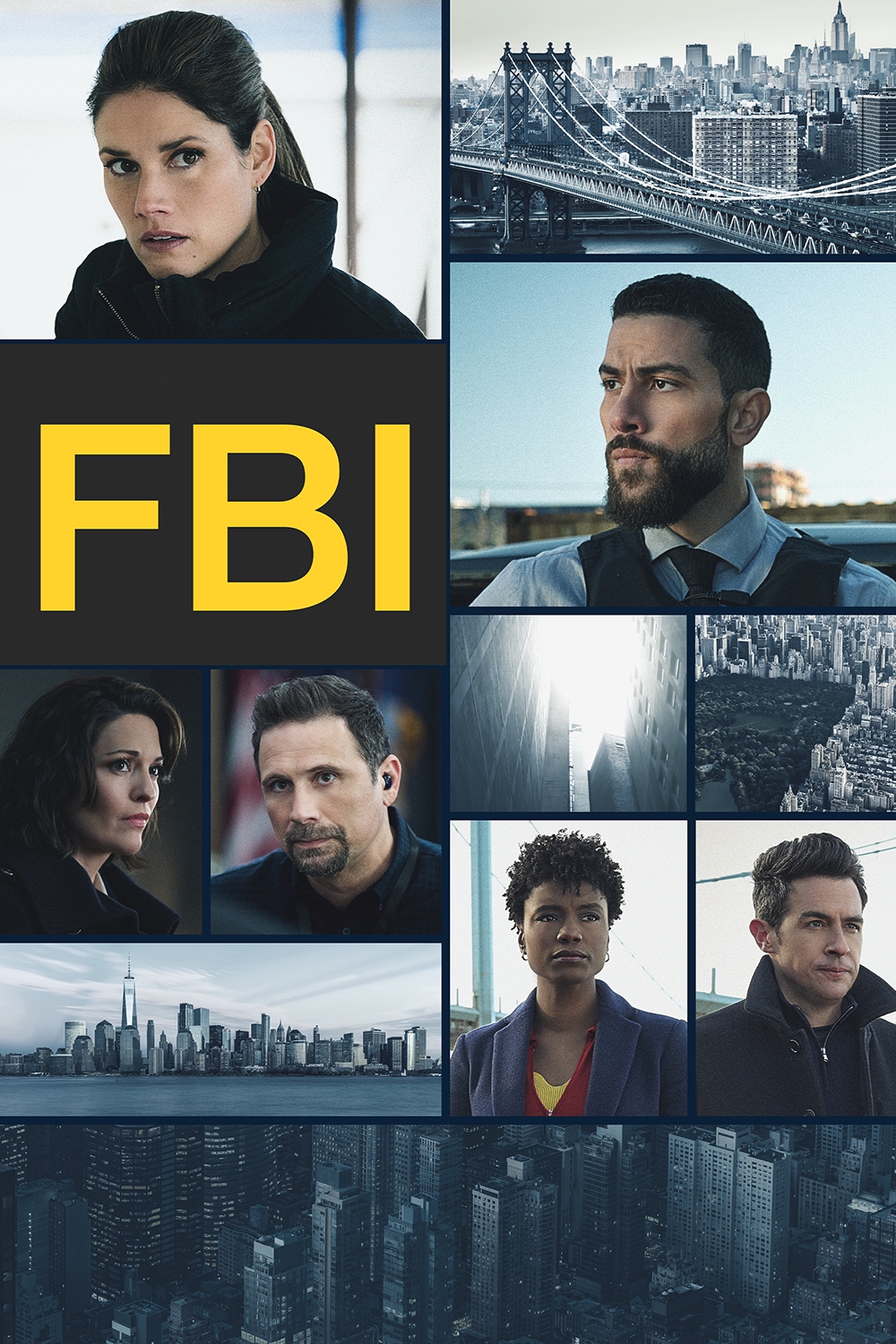 Watch Crime TV Shows Online | Stan