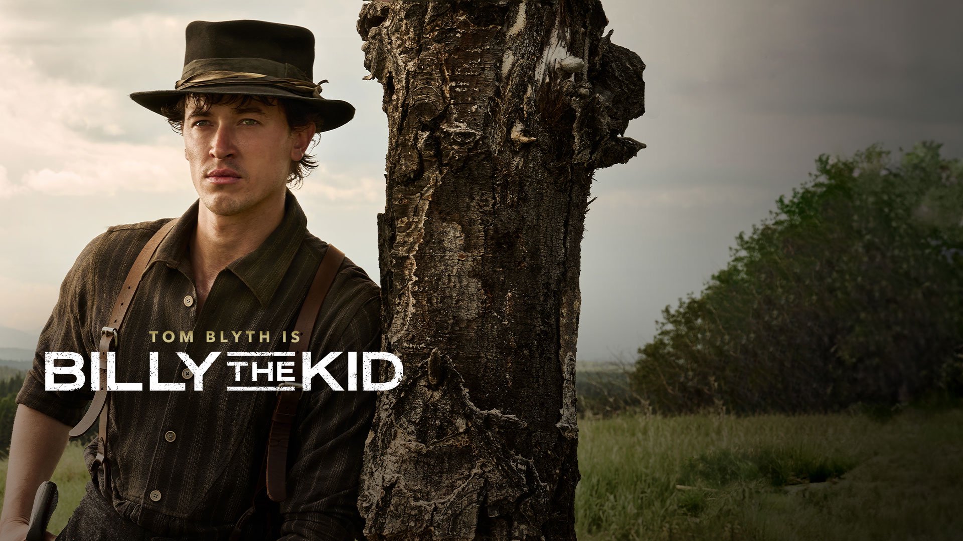 Stan - Watch TV Shows, Movies and Kids Entertainment