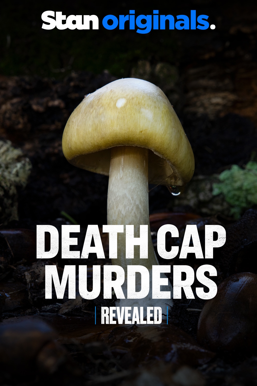 The Hack | TV Show - Stream Now | Only on Stan.